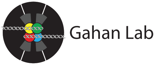 Home Research Team Publications Join Us Contact